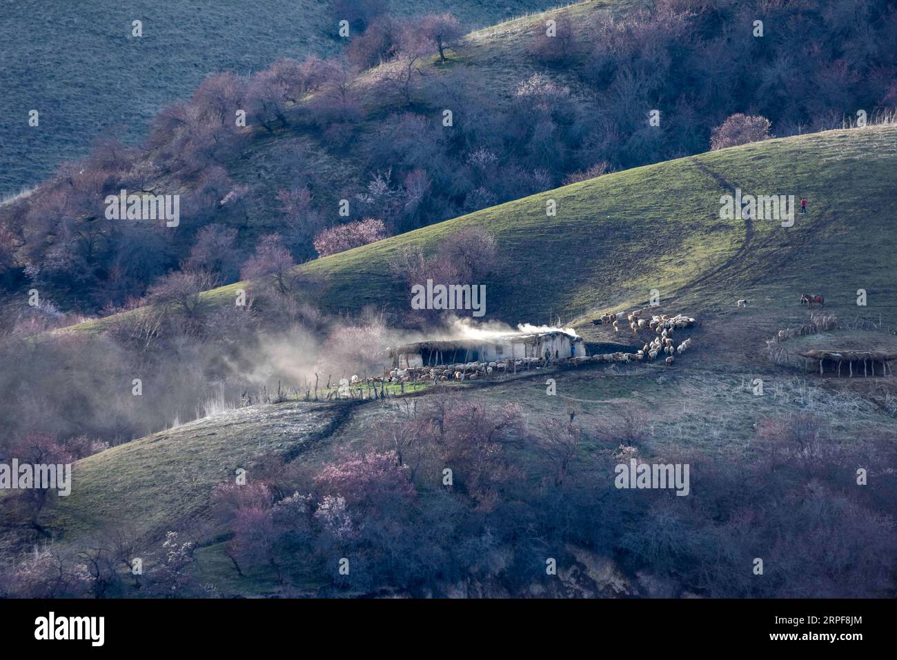 China horticulural hi-res stock photography and images - Alamy