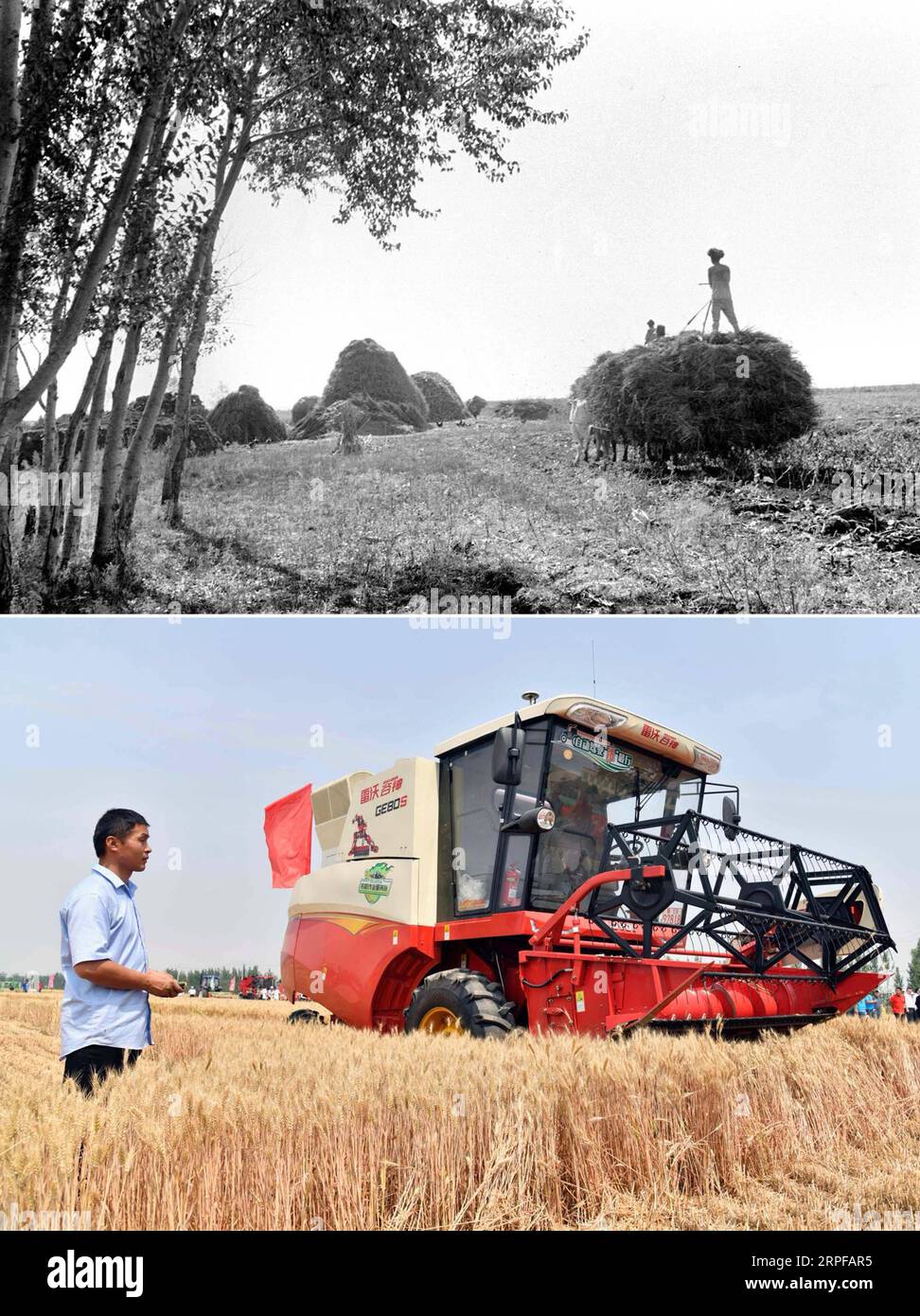 China agriculture 1952 hi-res stock photography and images - Alamy