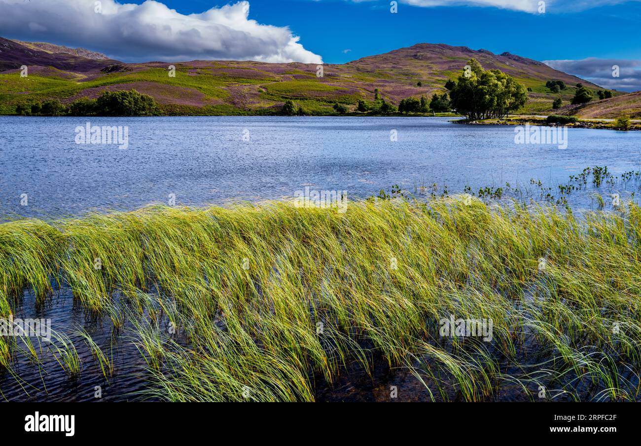 Loch Tarff lies in the hills above the southern end of Loch Ness in the ...