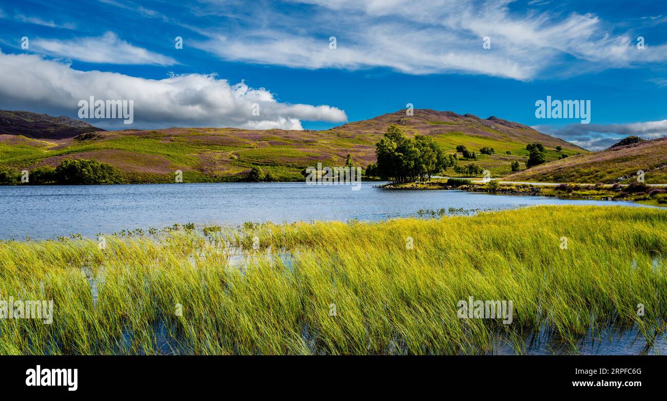 Reflections in a small scottish loch hi-res stock photography and ...