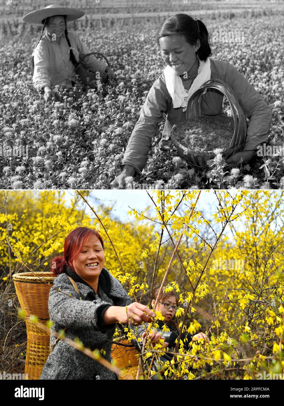 China occupations 70 hi-res stock photography and images - Alamy