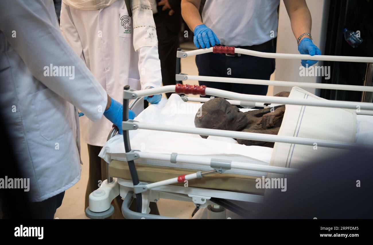 New kingdom of egypt mummy hi-res stock photography and images - Alamy