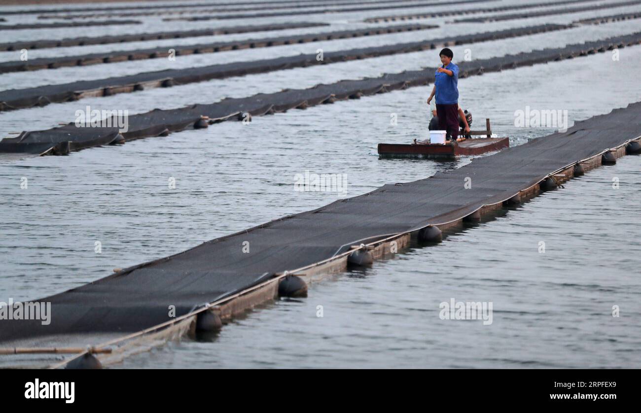 190922 -- BEIJING, Sept. 22, 2019 -- Guo Qi and her husband check the ...
