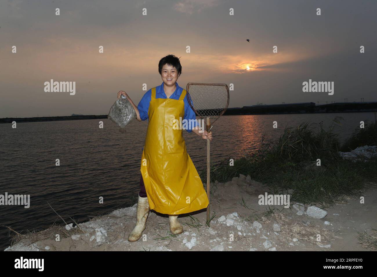 Major scratch hi-res stock photography and images - Alamy