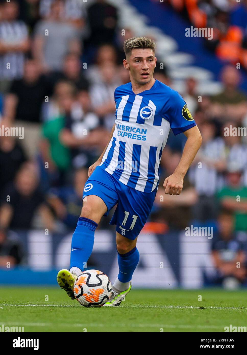 Brighton and Hove Albion's Billy Gilmour in action during the Premier ...