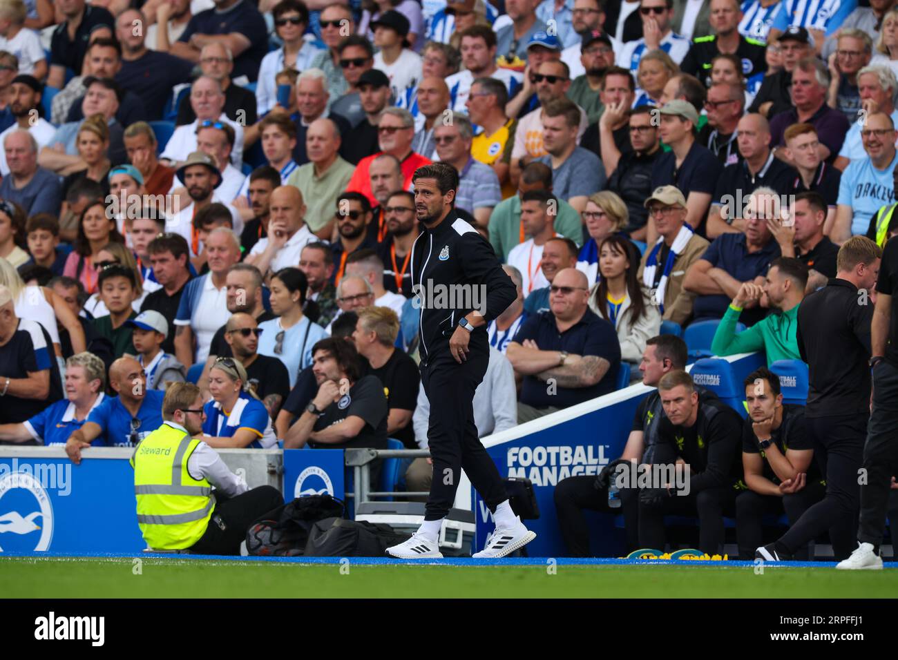 Newcastle united assistant manager jason tindall hi-res stock ...