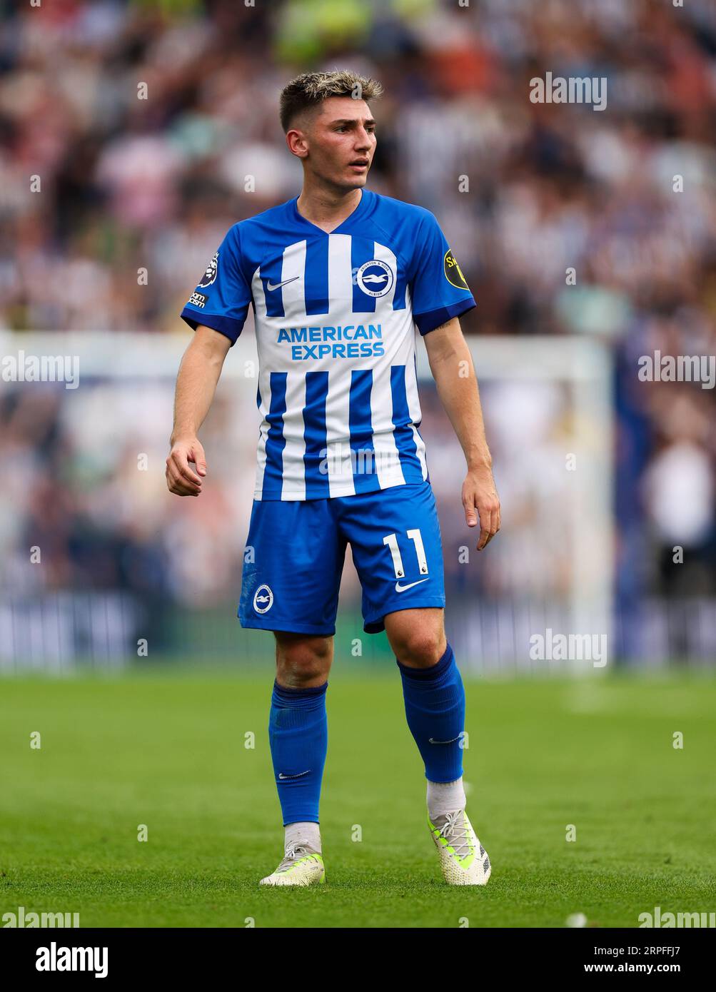 Billy gilmour of brighton hi-res stock photography and images - Alamy