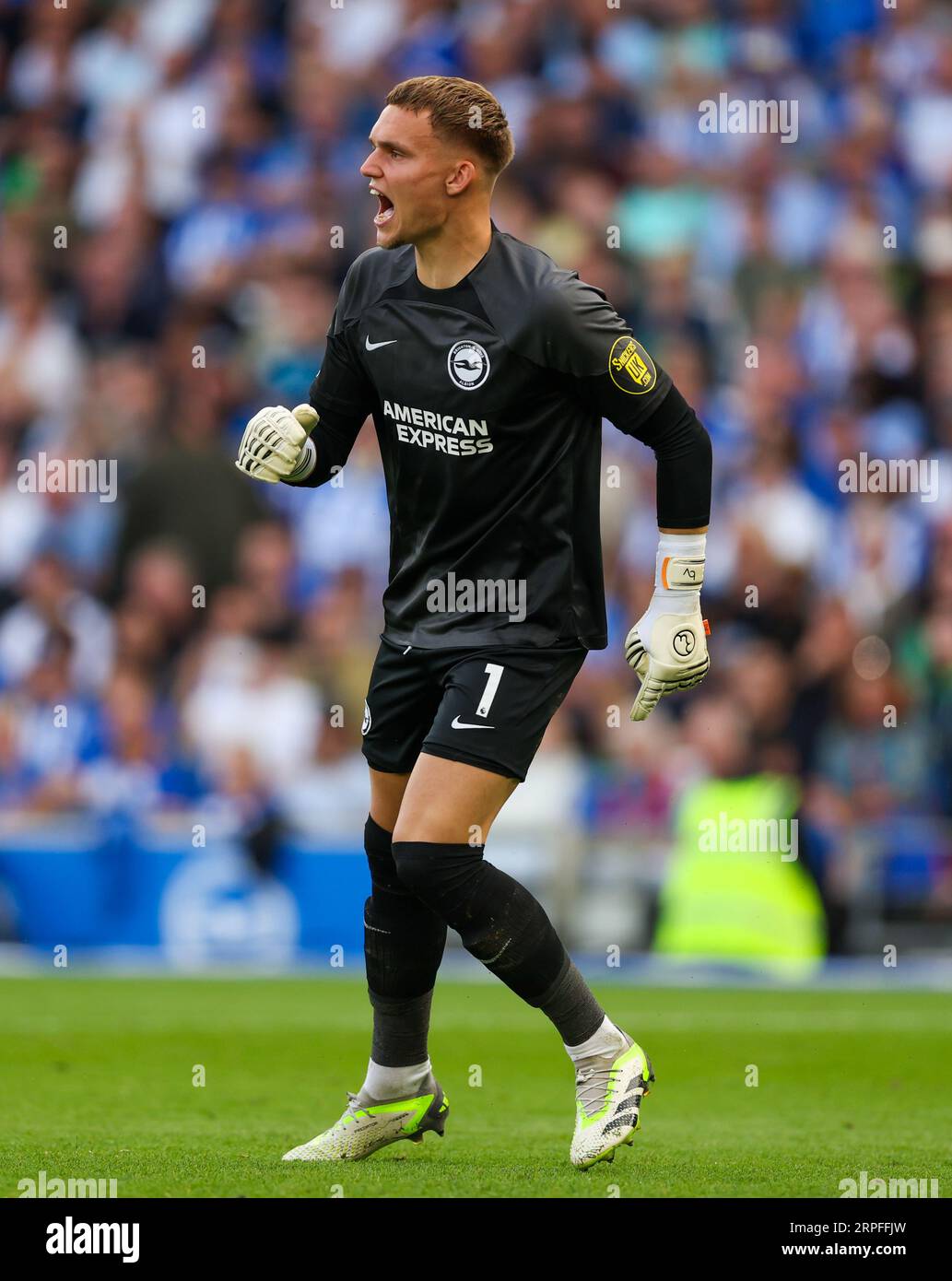 Brighton goalkeeper bart verbruggen hi-res stock photography and images - Alamy