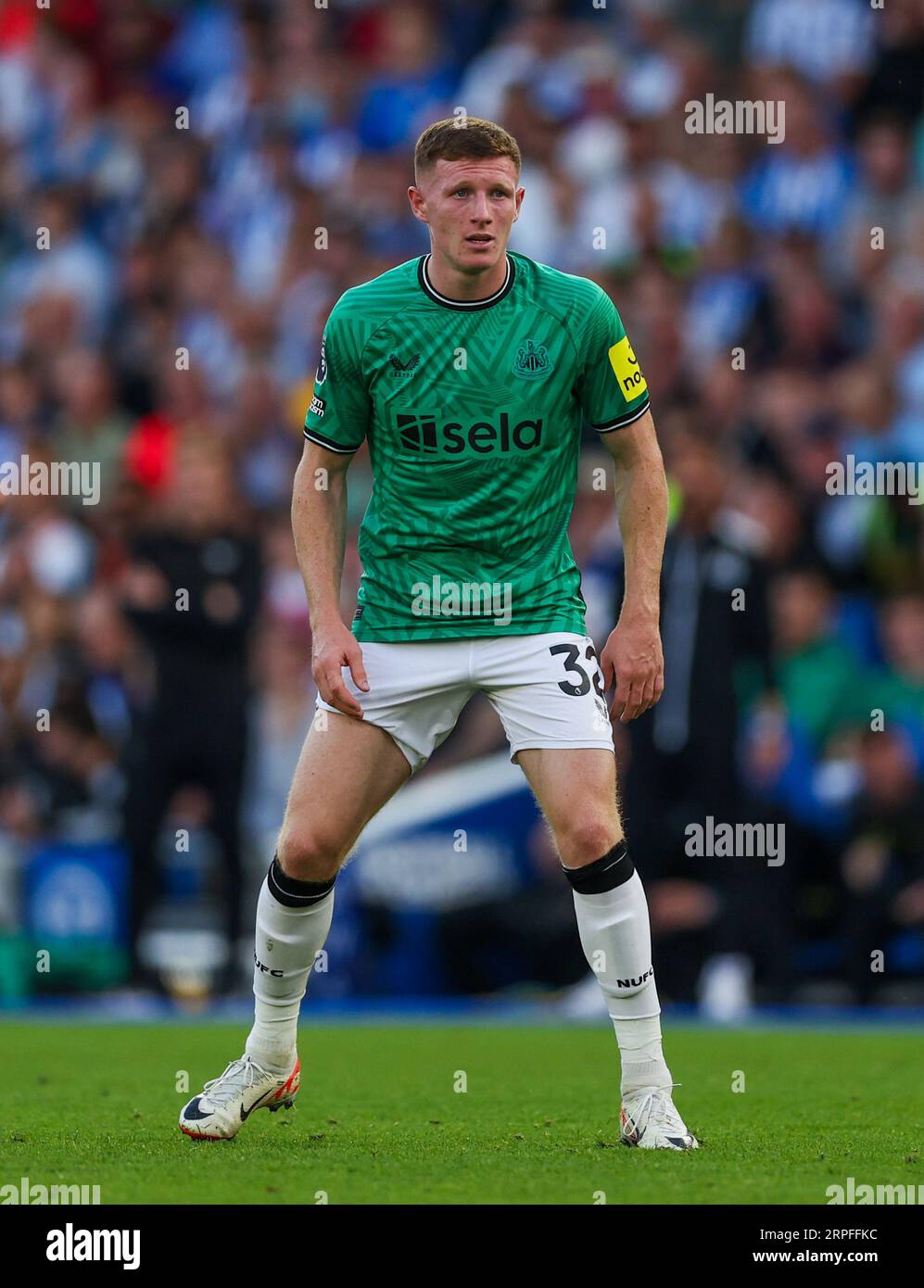 Elliot anderson brighton hi-res stock photography and images - Alamy