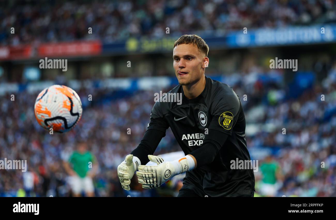 Brighton goalkeeper bart verbruggen hi-res stock photography and images - Alamy