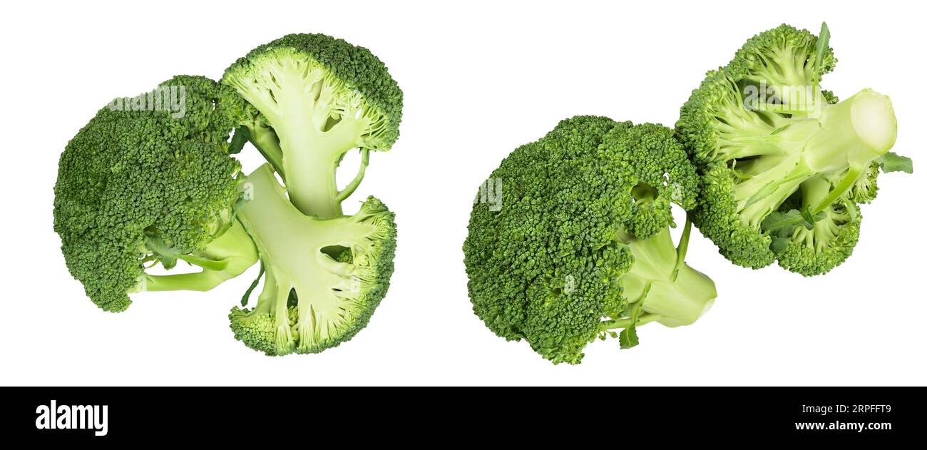 fresh broccoli isolated on white background close-up with full depth of ...