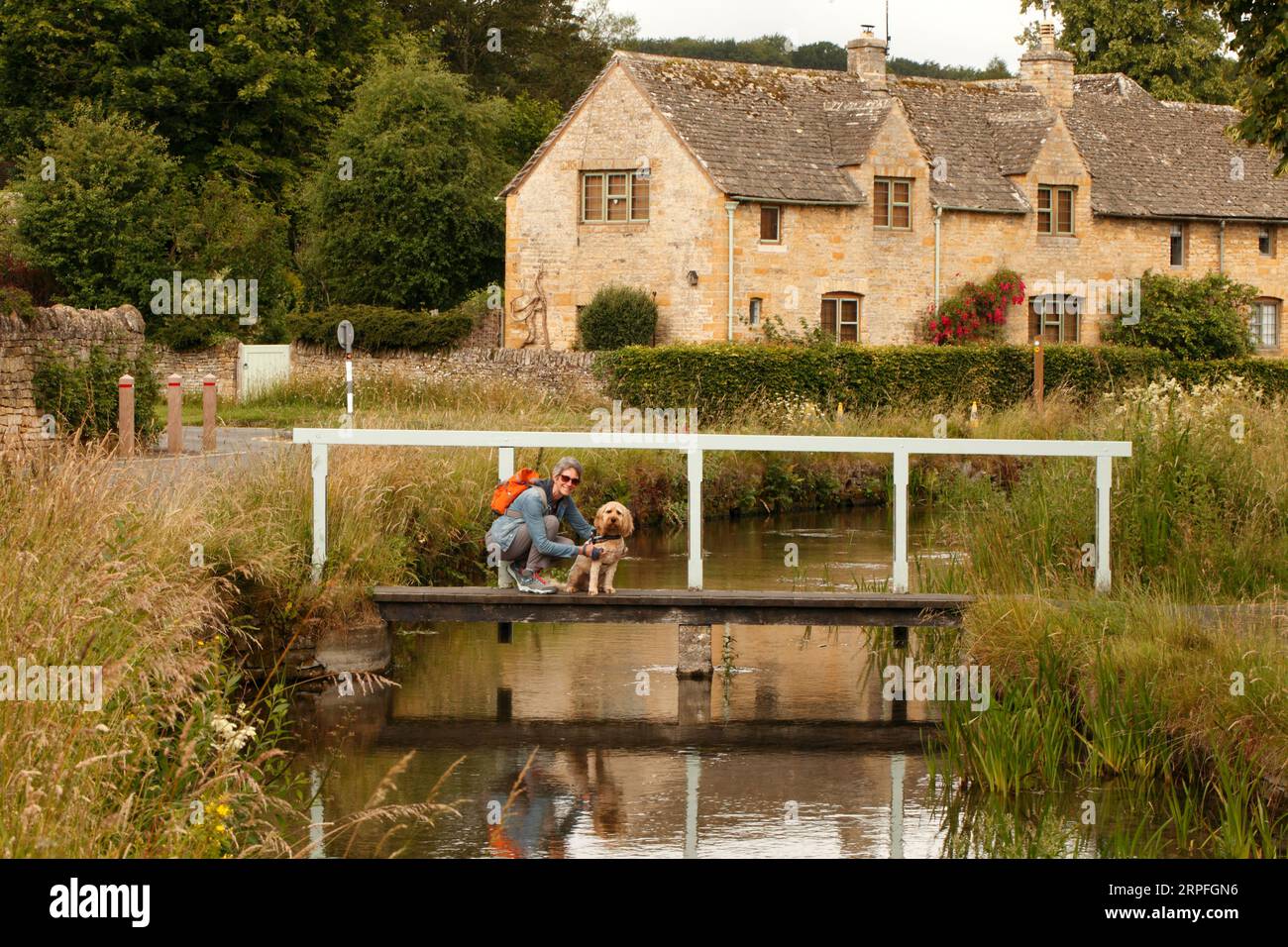 Dog slaughter hi-res stock photography and images - Alamy