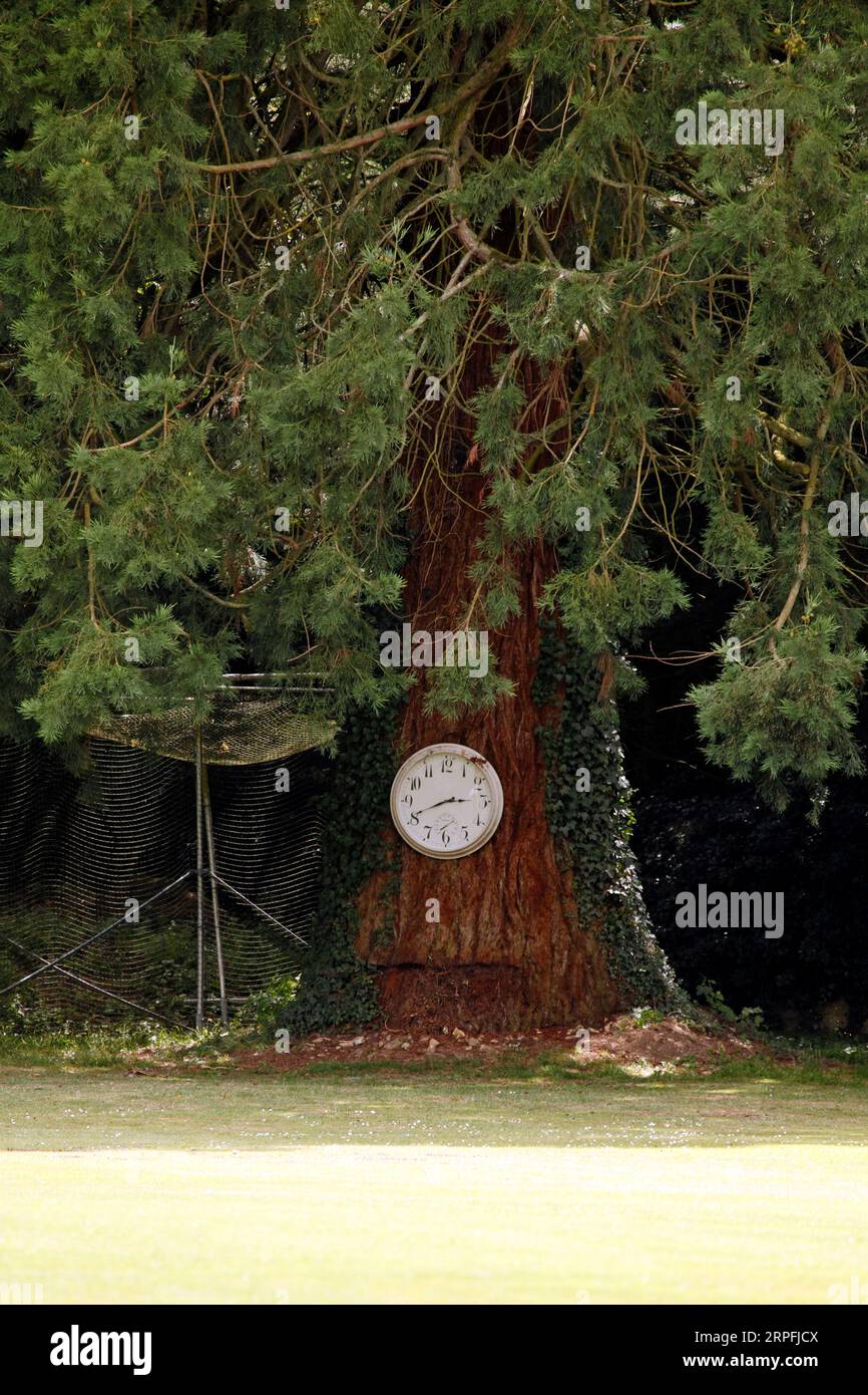 Cricket clock hi-res stock photography and images - Alamy