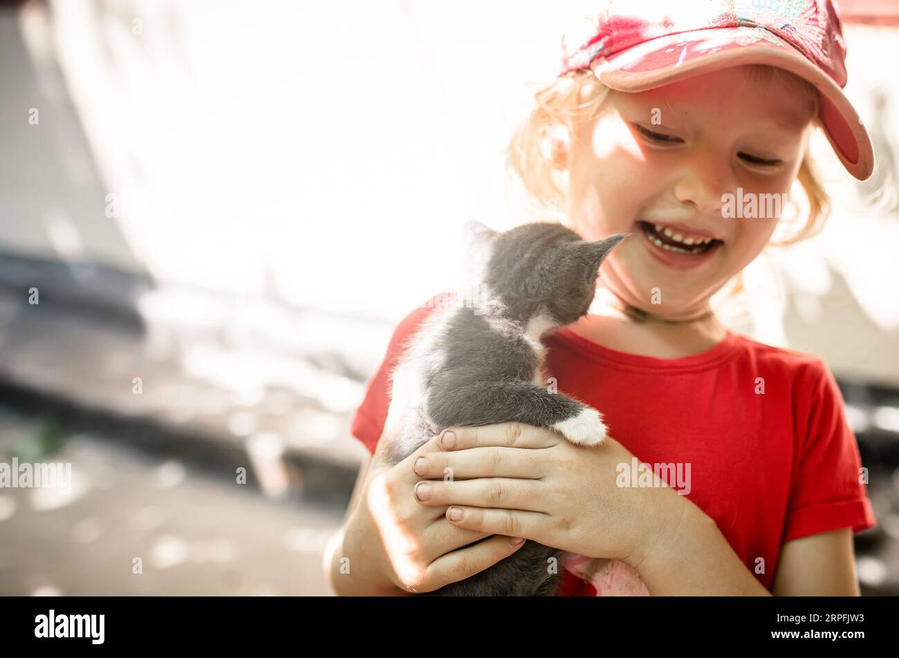Animal rescue. A stray kitten rescued by a child Stock Photo - Alamy