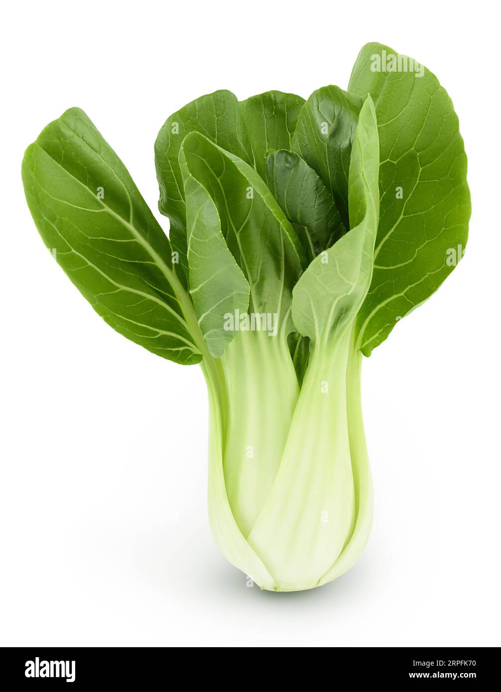 Fresh pak choi cabbage isolated on white background with full depth of ...