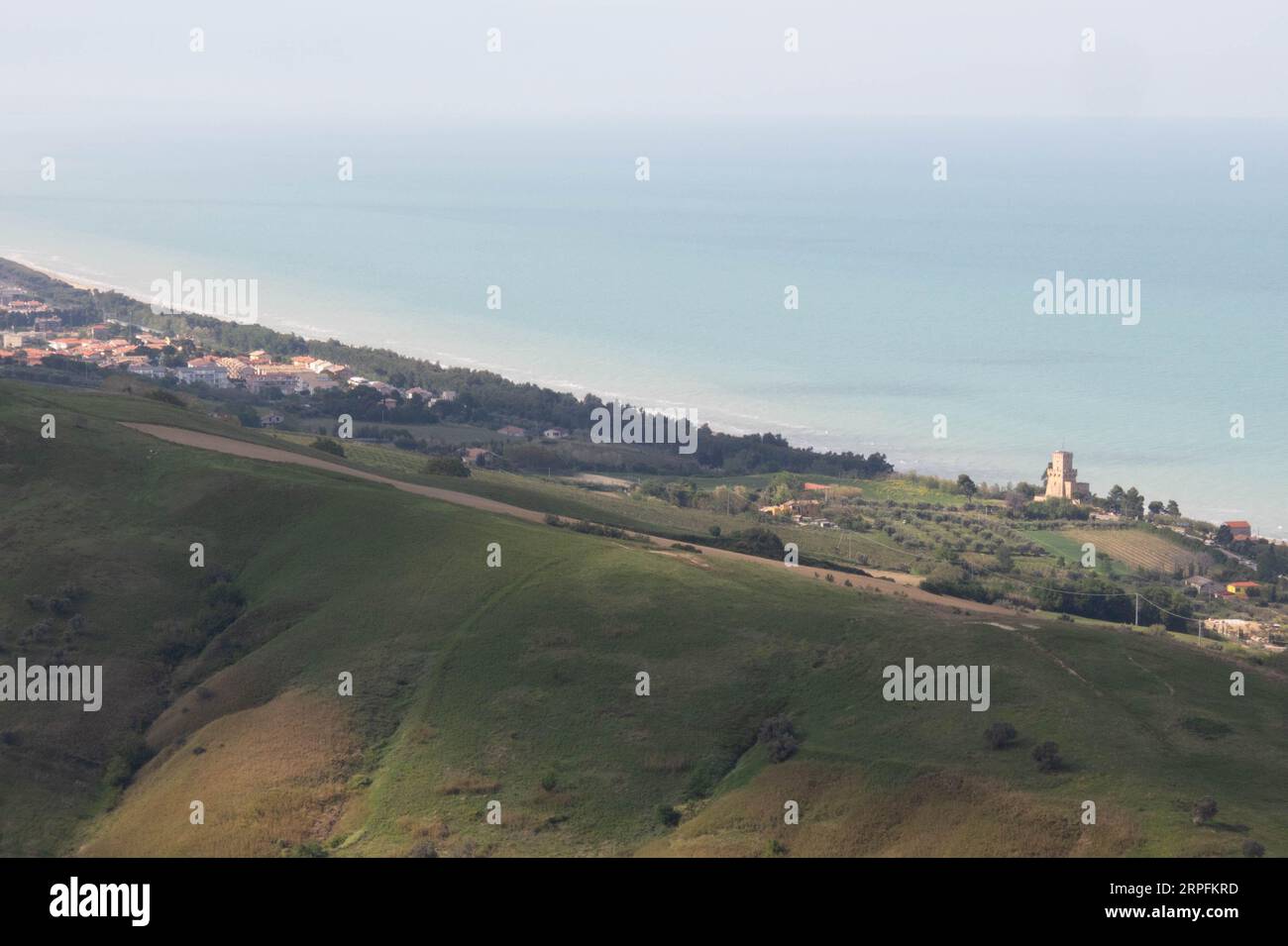 Pineto hi-res stock photography and images - Alamy