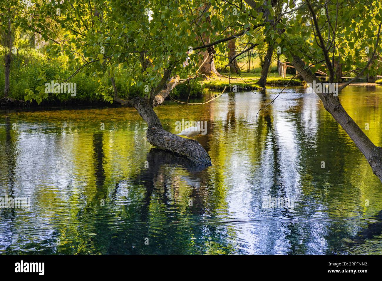 July 9, 2023 - Pissignano, Perugia, Umbria. Amazing park of the sources ...