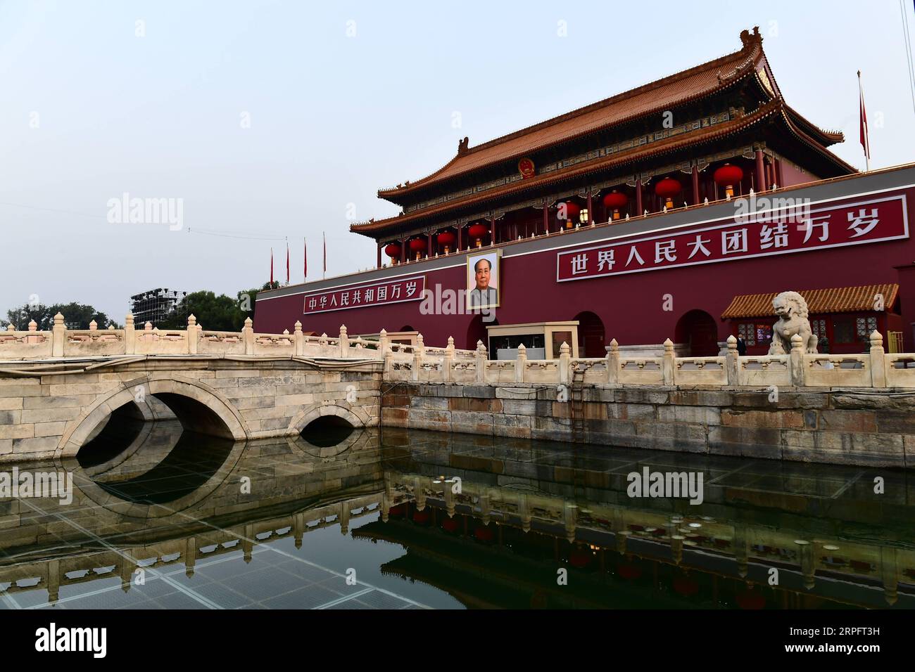 Long rostrum hi-res stock photography and images - Alamy