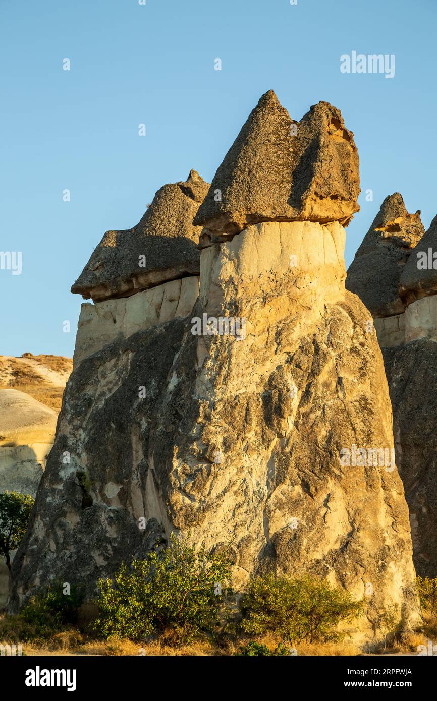 Fairy chimneys, Pasabagi, Cappadocia, Turkey Stock Photo - Alamy