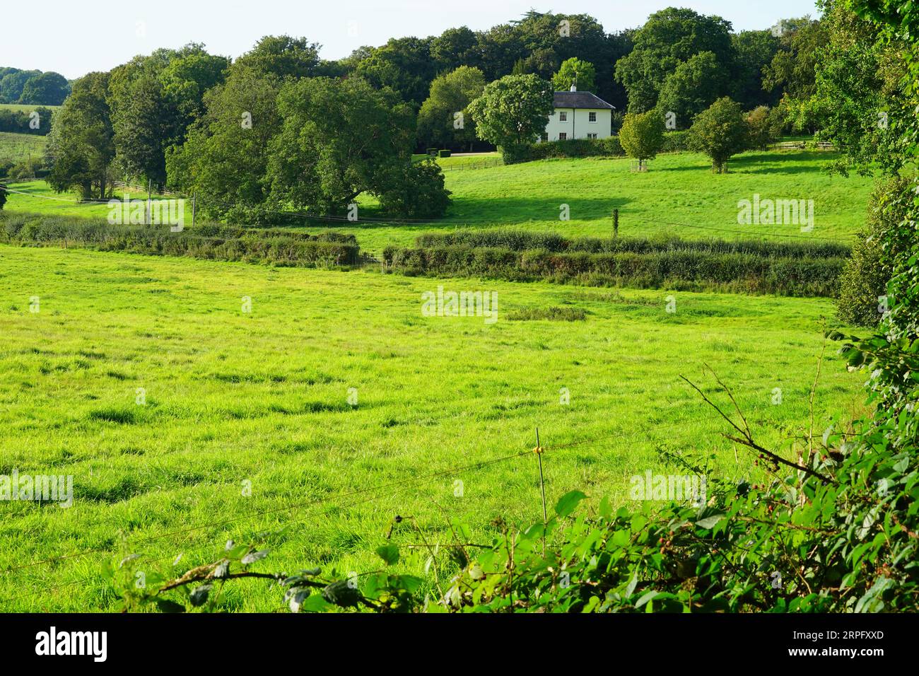Jane Austen's birthplace - the site of the old rectory at Steventon ...