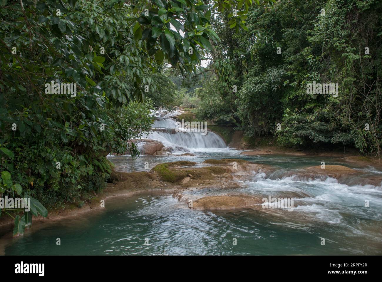 Agua azul waterfall scenery hi-res stock photography and images - Alamy