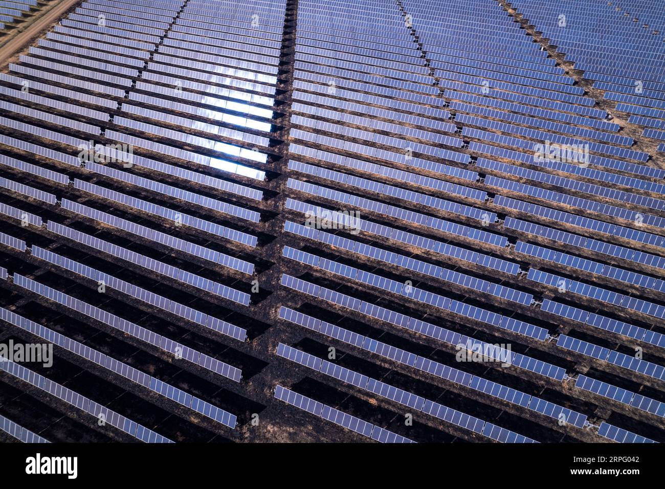 Aerial view of solar panels at a modern solar power plant that ...