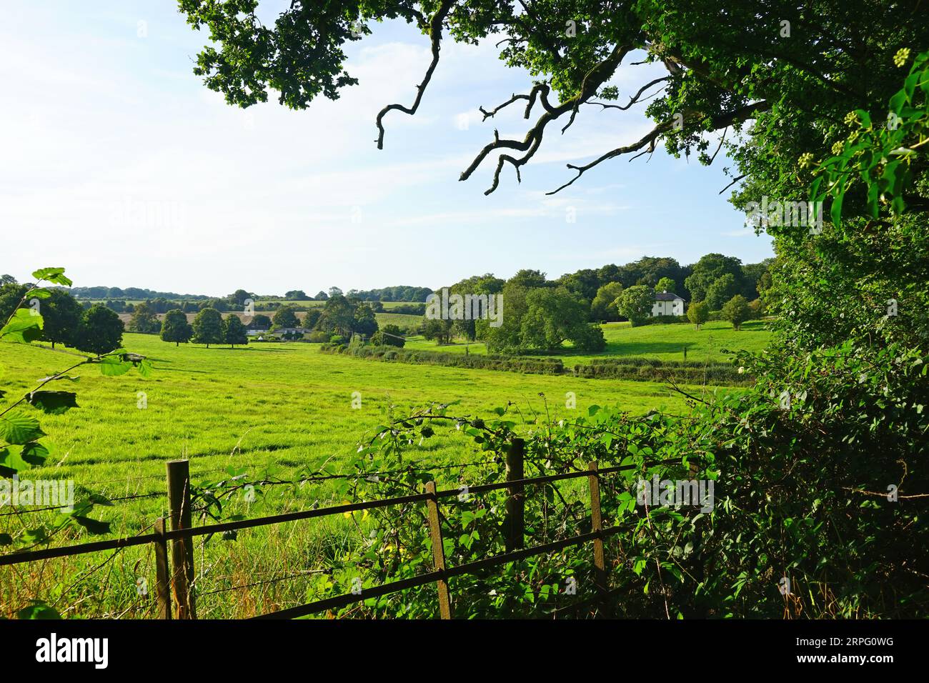 Jane Austen's birthplace - the site of the old rectory at Steventon ...