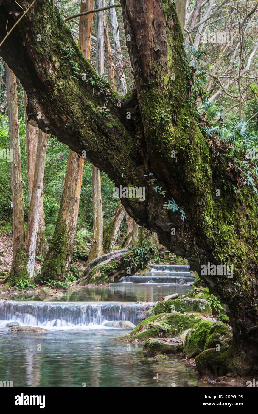 El Chuveje waterfall in Queretaro, Mexico. Small waterfalls in the ...