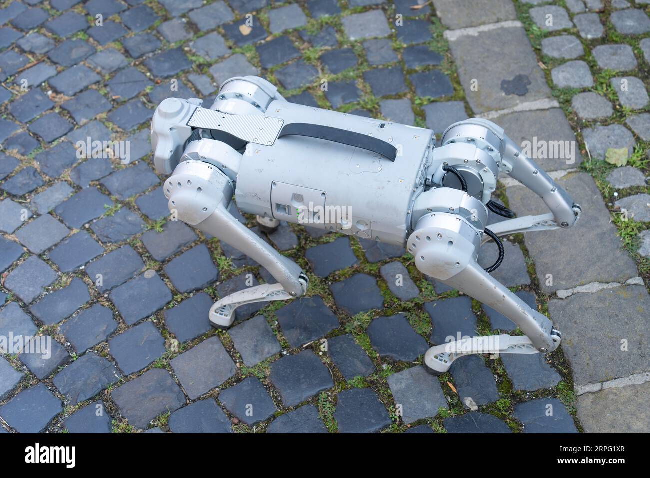 Micro Robot Cyborg Soldier