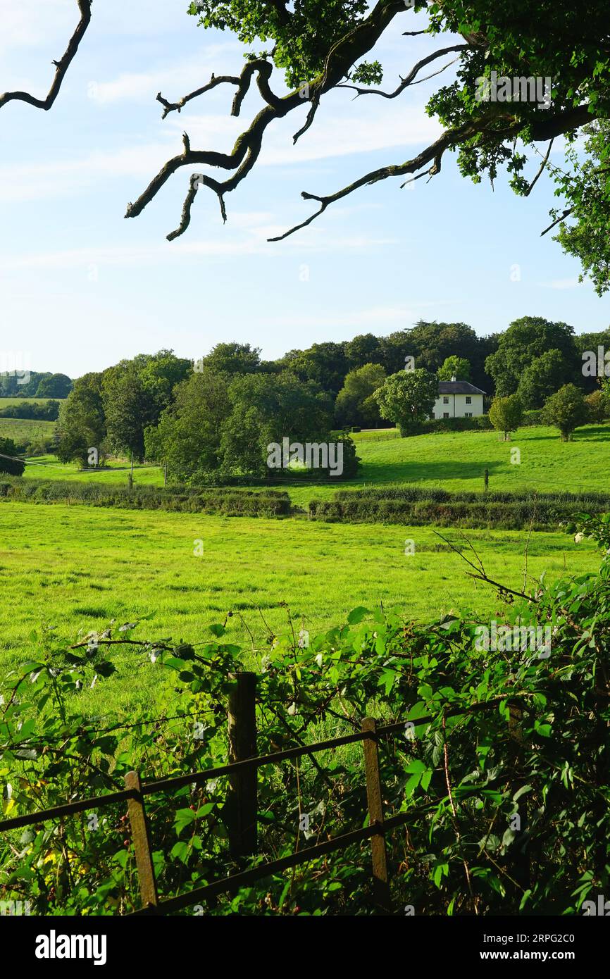 Jane Austen's birthplace - the site of the old rectory at Steventon ...