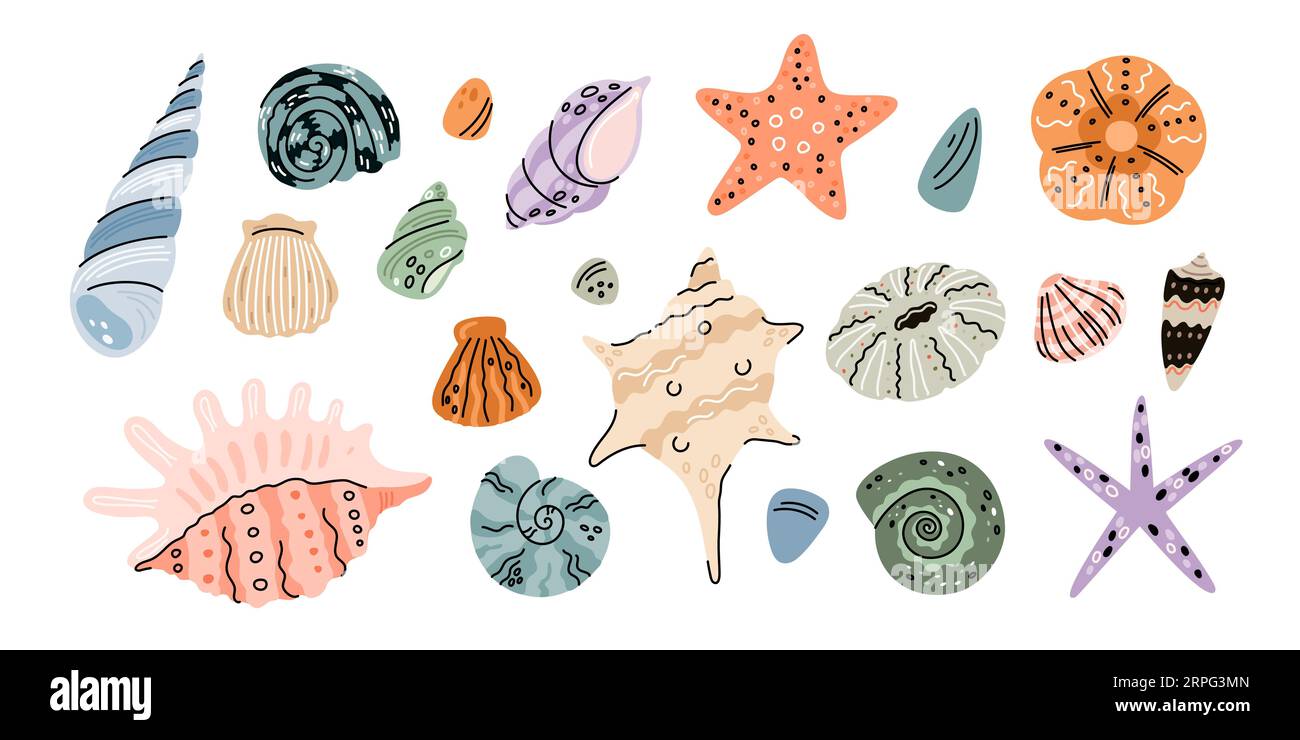 Cartoon tropical seashells. Different shapes underwater elements ...