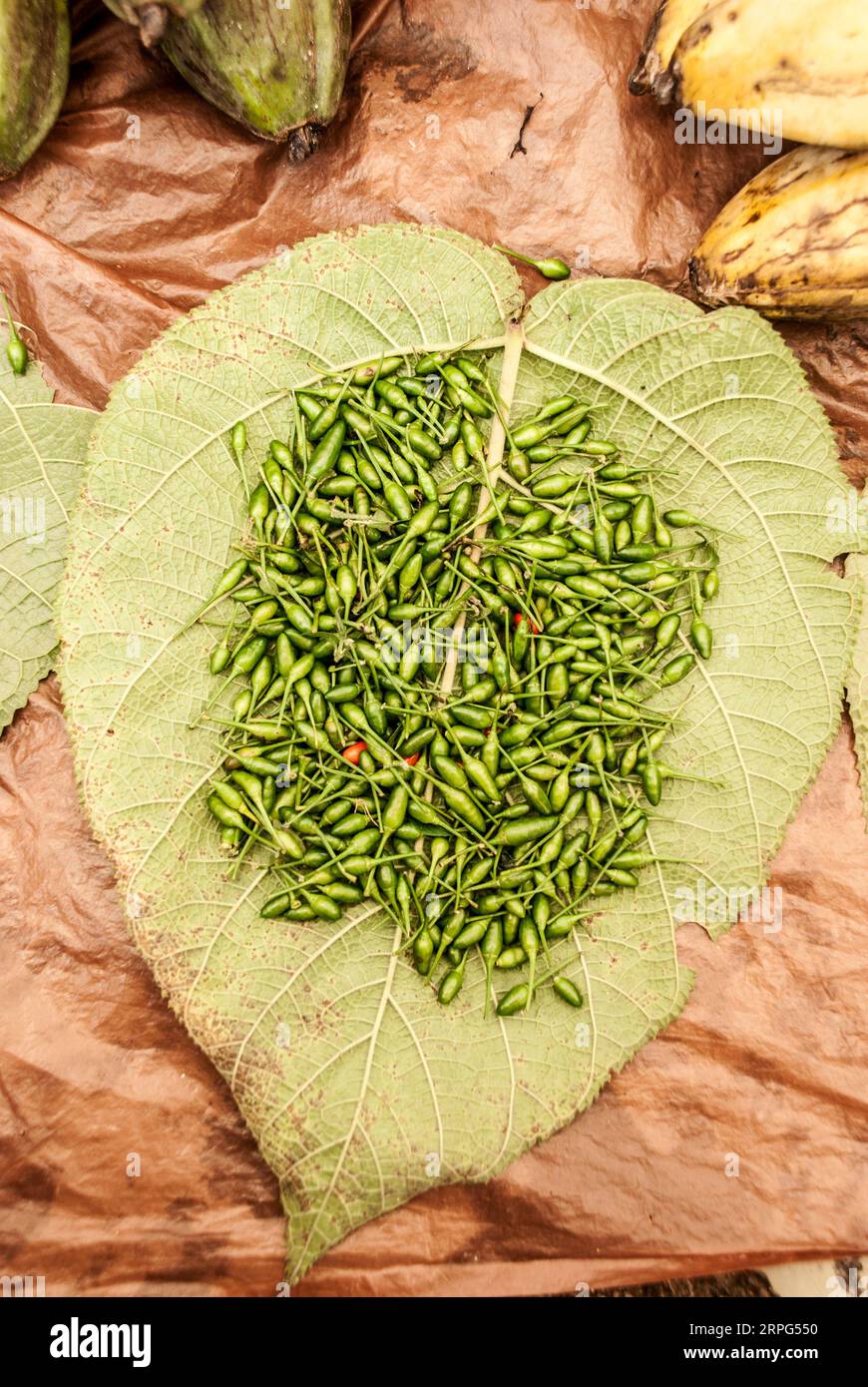 Small green chilies on a plant. Healthy, vegetarian food Stock Photo ...