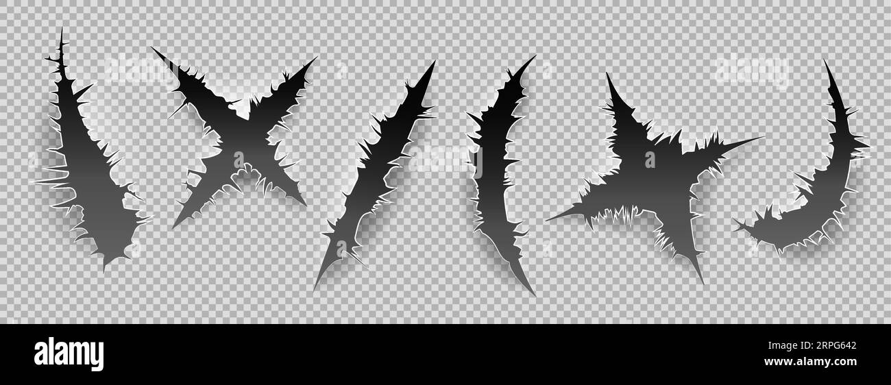 Realistic bear hi-res stock photography and images - Alamy