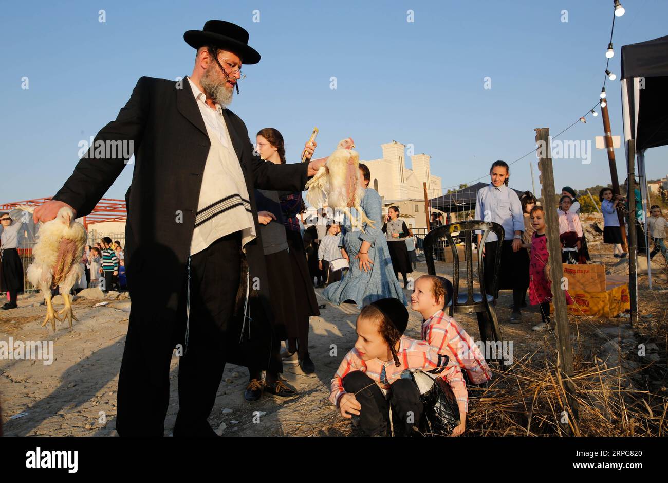 Shemesh kaparot hi-res stock photography and images - Alamy