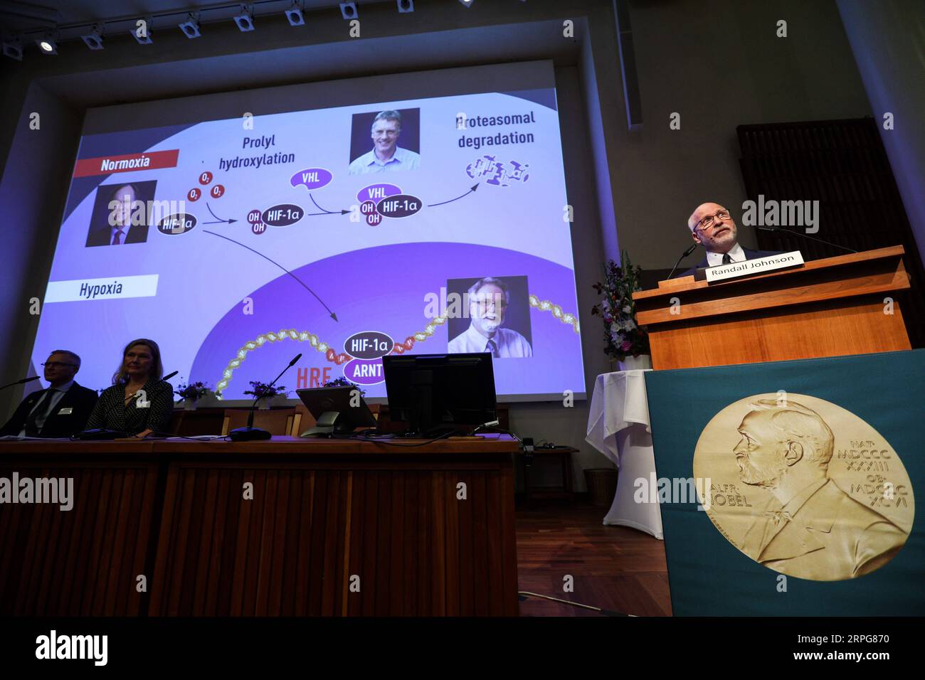 191007 -- STOCKHOLM, Oct. 7, 2019 -- Photo taken on Oct. 7, 2019 shows the announcement of the ...