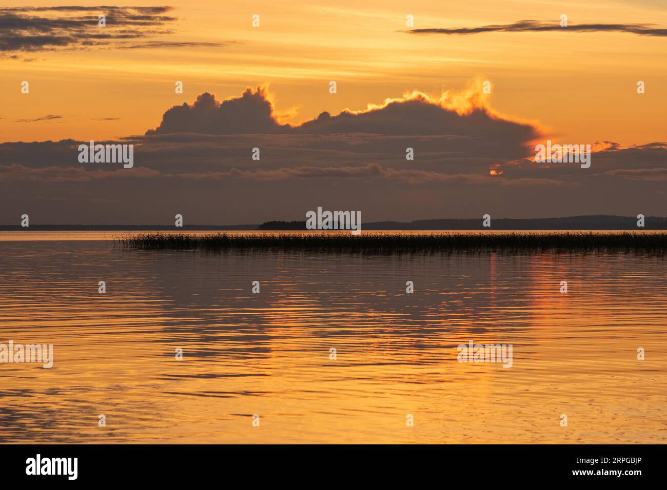 natural landscape, white night over the wide northern lake Stock Photo ...