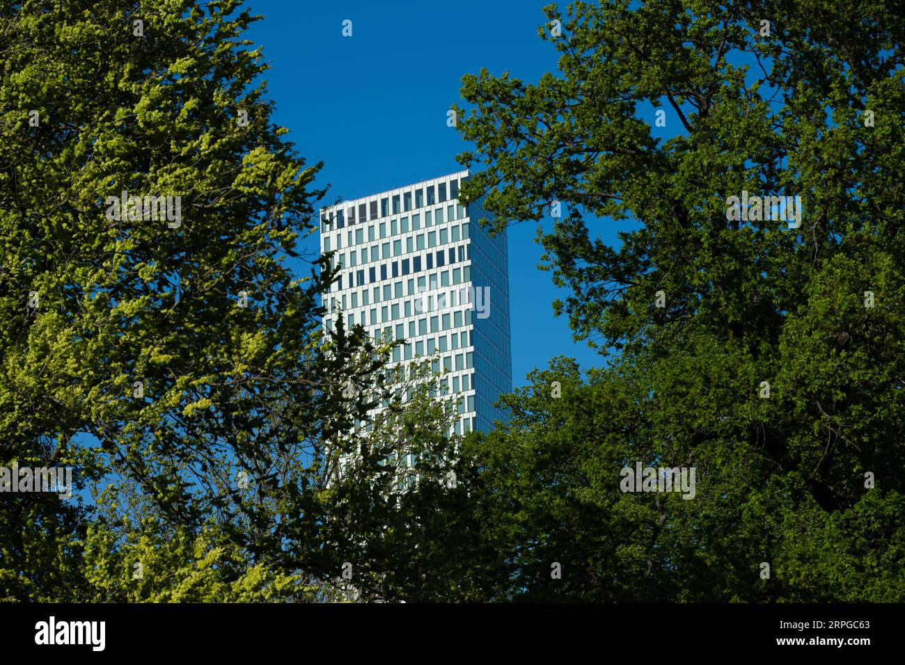 Towering over trees hi-res stock photography and images - Alamy