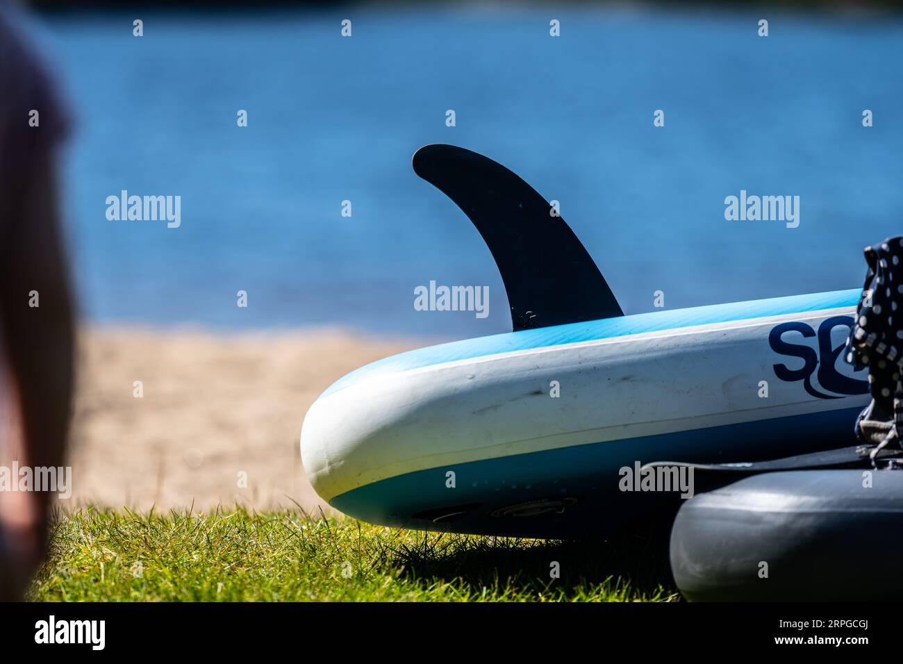 Steering fin of a stand up paddle board on a beach Stock Photo - Alamy