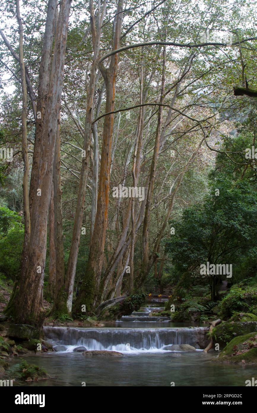 El Chuveje waterfall in Queretaro, Mexico. Small waterfalls in the ...