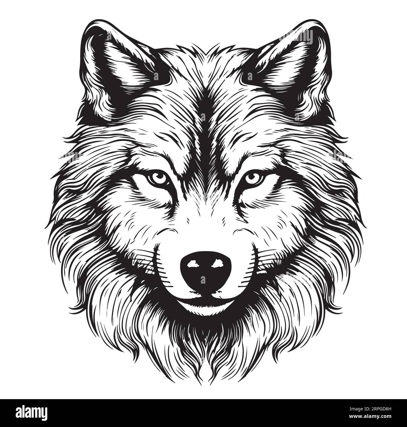 Wolf head realistic hand drawn sketch Vector Wild animals Stock Vector ...