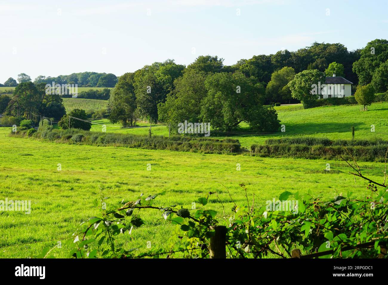 Jane Austen's Birthplace - the site of the old parsonage at Steventon ...