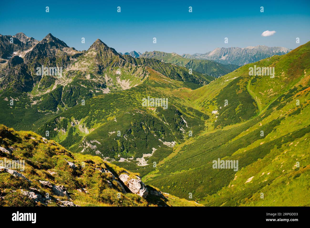 High Tatras Beauty: A breathtaking perspective from the verdant summit ...
