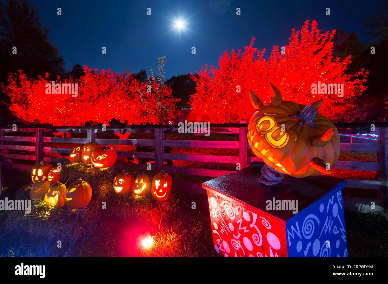 Pumpkinferno hi-res stock photography and images - Alamy