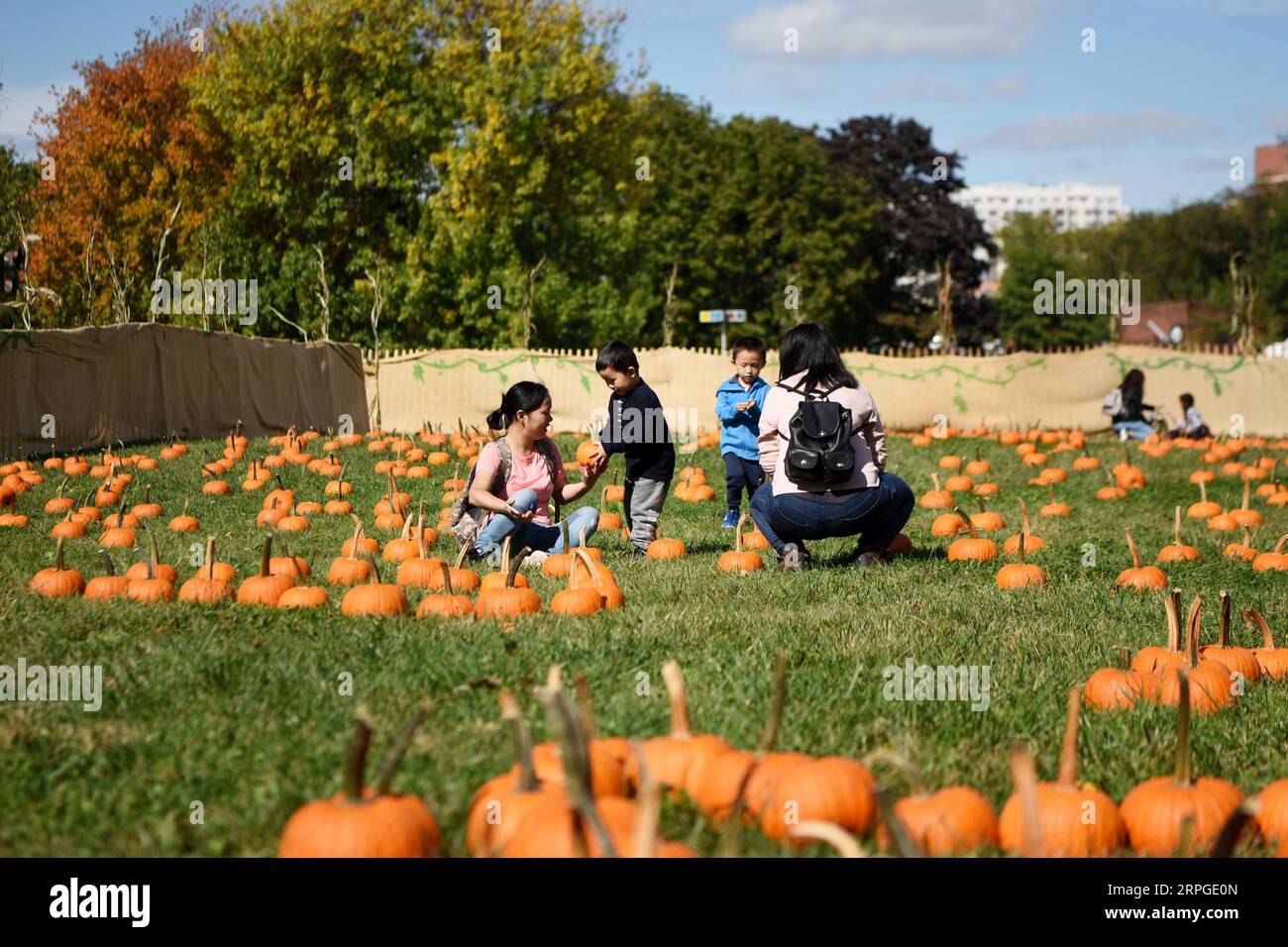 The 2019 york maze hi-res stock photography and images - Alamy