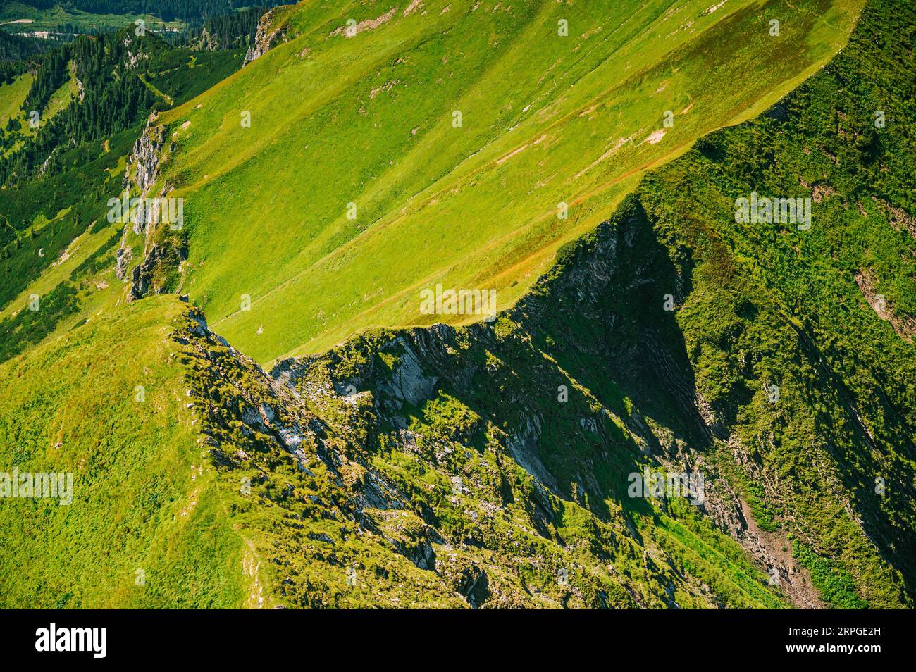 Natures divide hi-res stock photography and images - Alamy