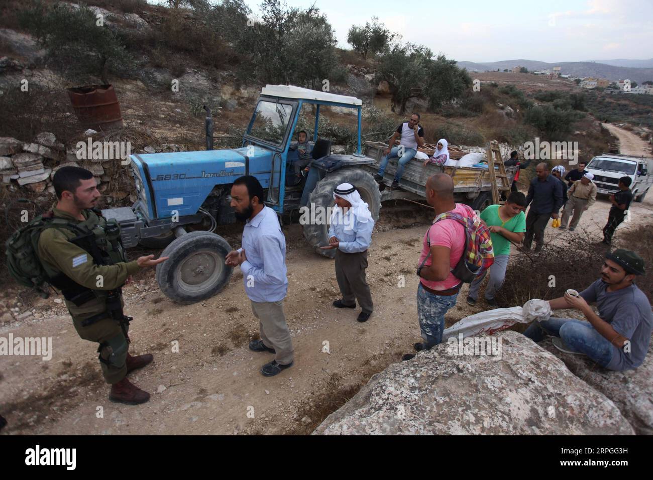 Mideast nablus olive harvest hi-res stock photography and images - Alamy