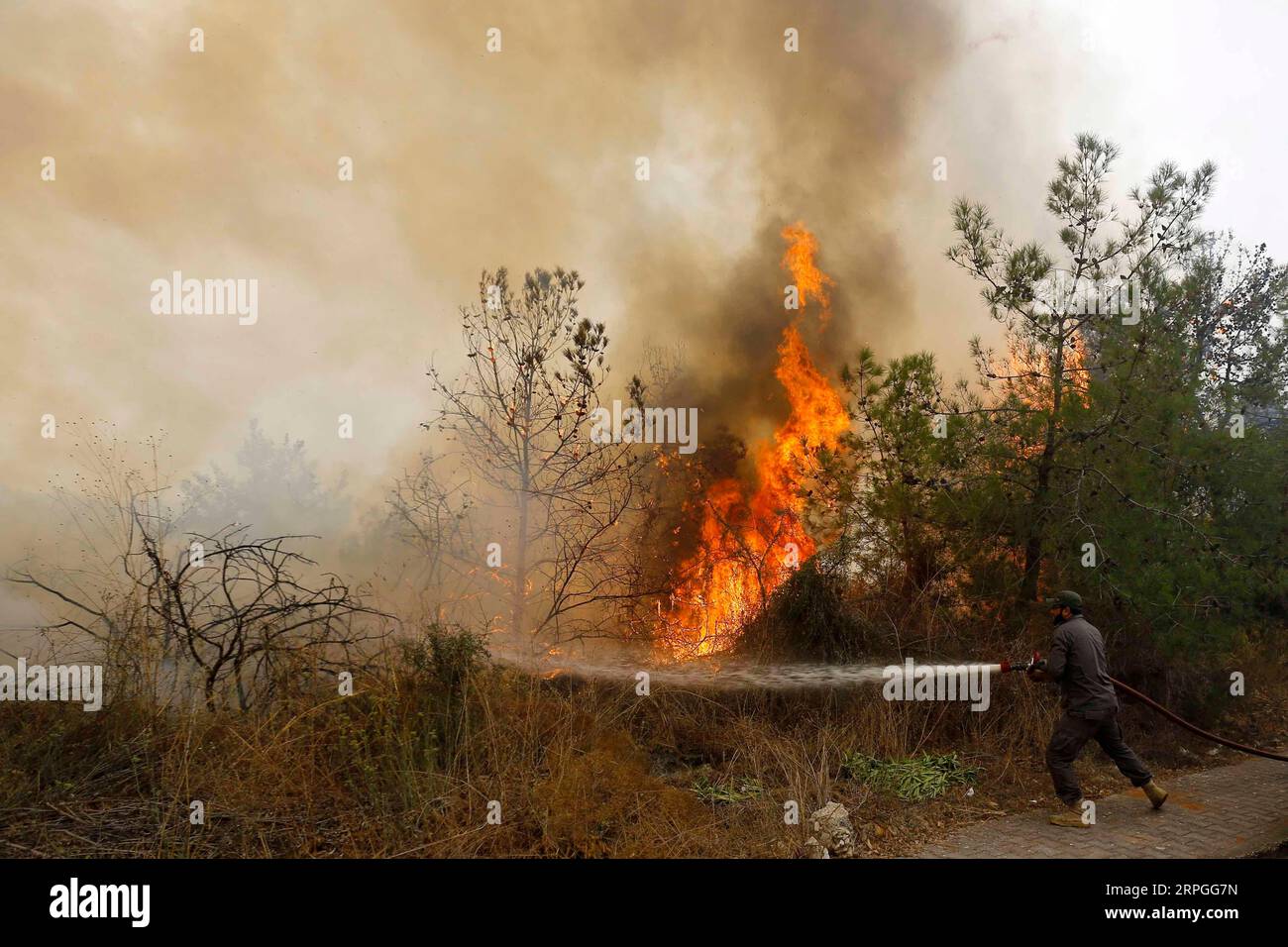 Mechref hi-res stock photography and images - Alamy