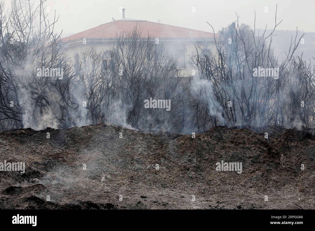 Mechref hi-res stock photography and images - Alamy