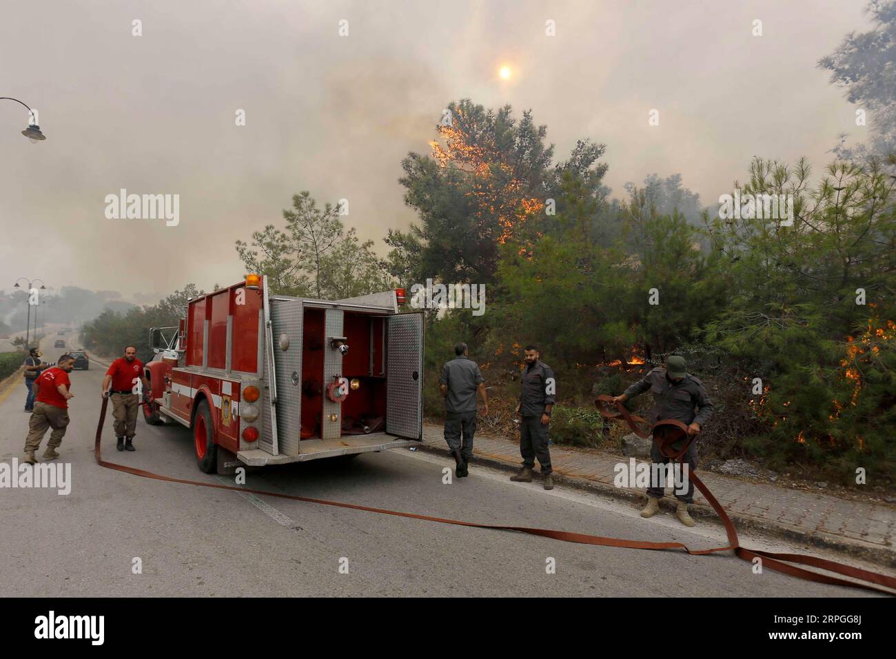 Mechref hi-res stock photography and images - Alamy