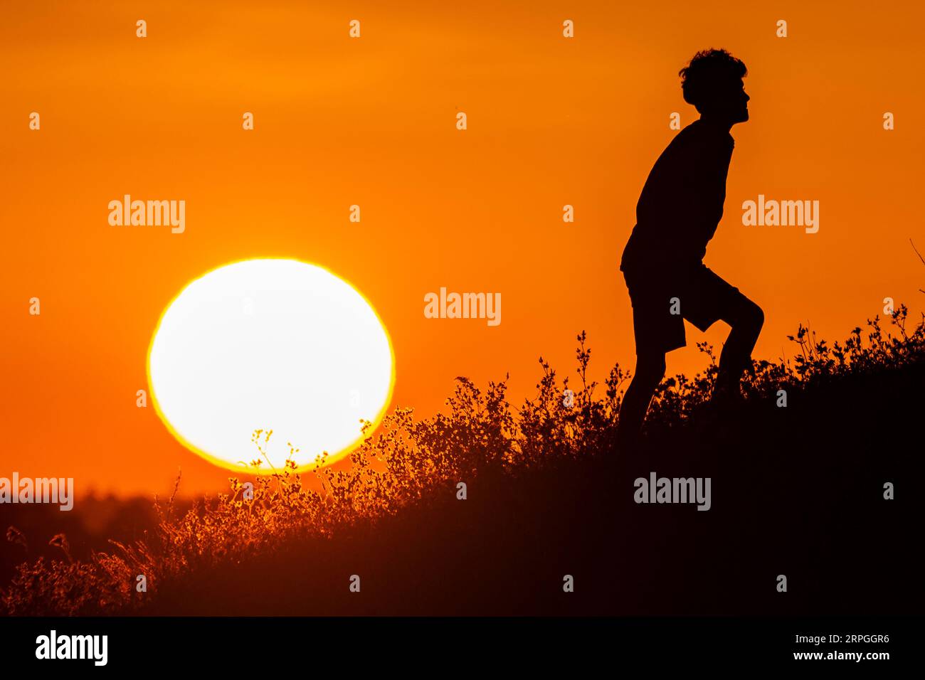 Mini mounds hi-res stock photography and images - Alamy